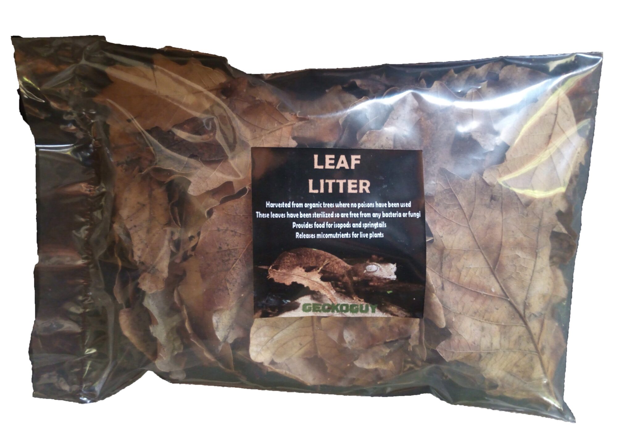 Leaf Litter